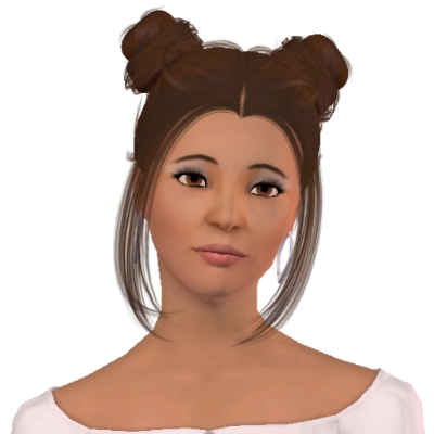 sims 3 bun